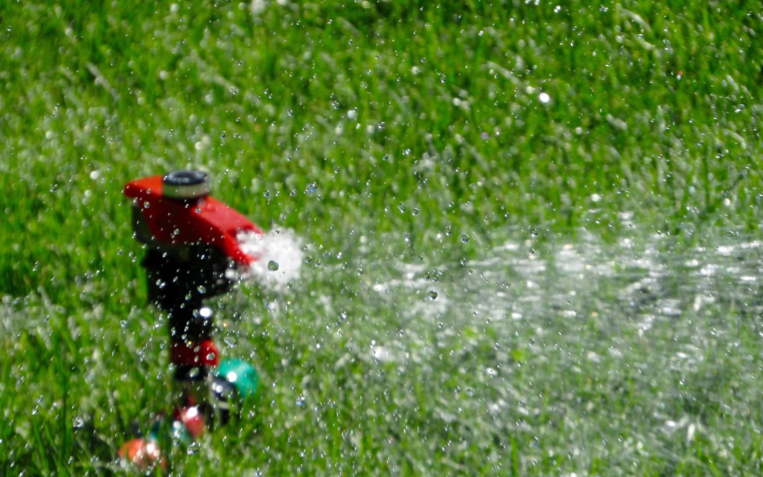 What is an Irrigation Inspection and Do You Need One?